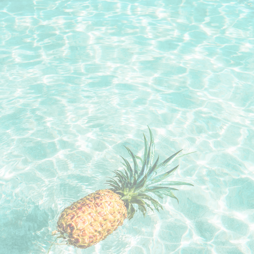 The Explorer | Once Upon a Beach