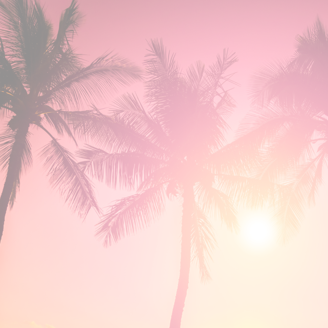 The Explorer | Once Upon a Beach