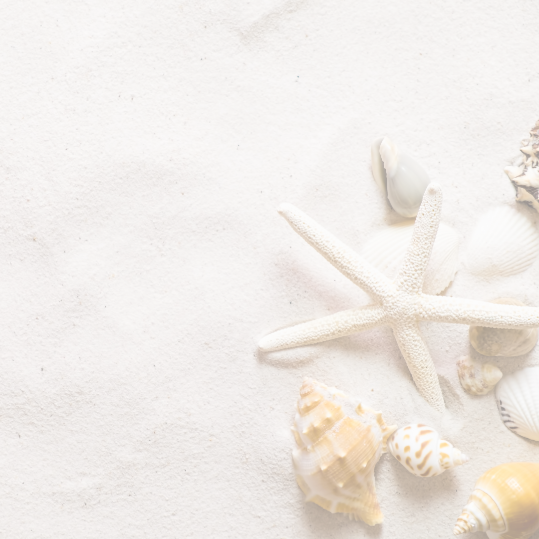 The Explorer | Once Upon a Beach